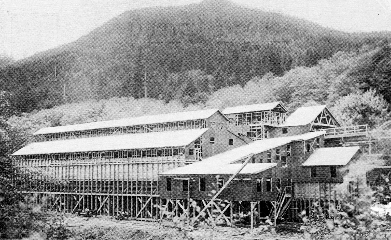 WHEN COAL WAS KING: Coal was discovered on a hillside near present-day ...